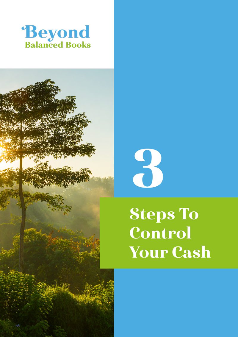 Control Your Cash Flow Today - Beyond Balanced Books